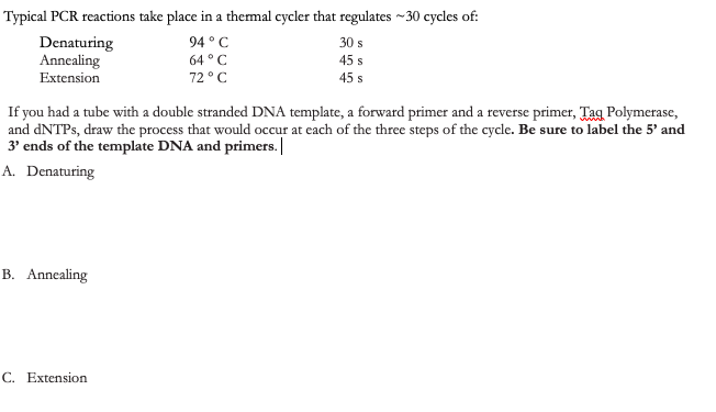 Solved 30 cycles of: Typical PCR reactions take place in a | Chegg.com