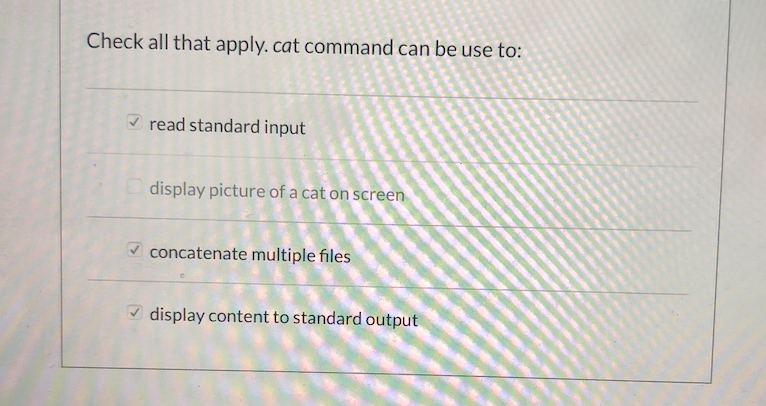 Solved Check all that apply. The command cat >> file3 is | Chegg.com