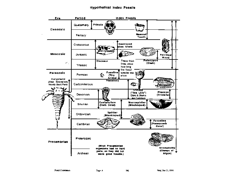 Solved Question 3: Using the principles of fossil | Chegg.com