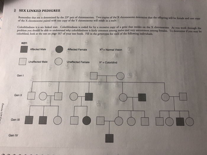 Solved SEX LINKED PEDIGREE Remember that sex is determined | Chegg.com