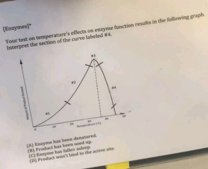 Solved Your test on temperature's effects on enzyme function | Chegg.com