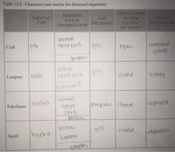 Solved Based on the characters under investigation (see | Chegg.com