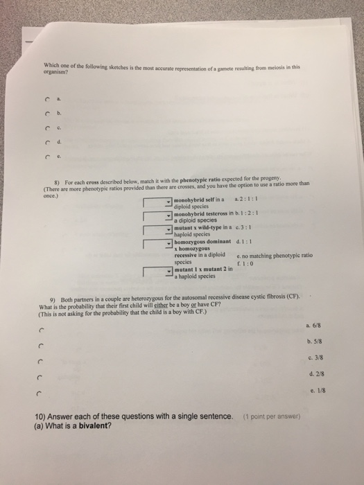 Solved 1) Dumpy is a commonly used mutant phenotype in the | Chegg.com