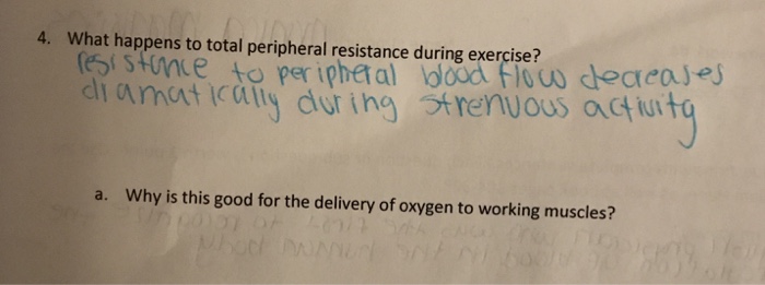 Solved 4. What happens to total peripheral resistance during | Chegg.com