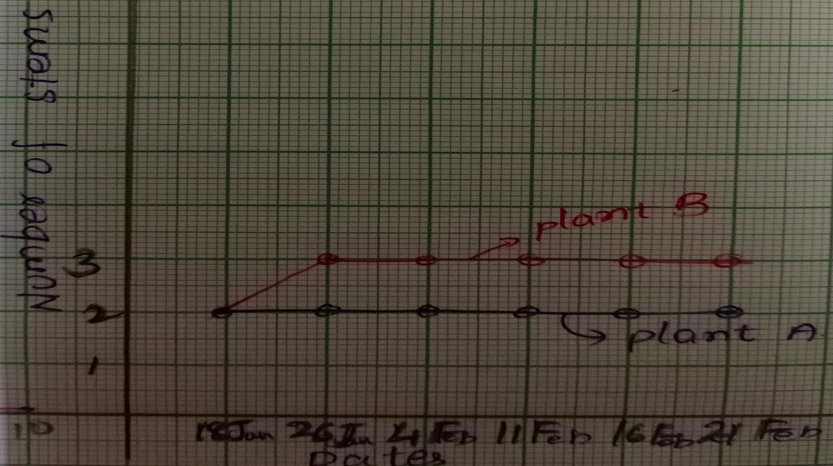 Solved Results (10 points) 1. Summary of your experimental | Chegg.com