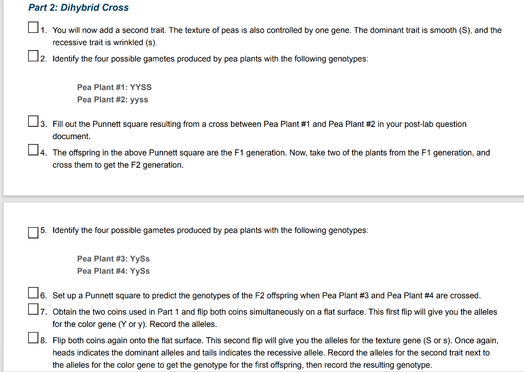 Solved Materials * 2 Coins Note: You must provide the | Chegg.com