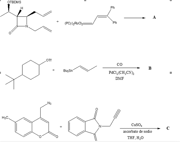 Solved Interpret the following reaction courses and indicate | Chegg.com