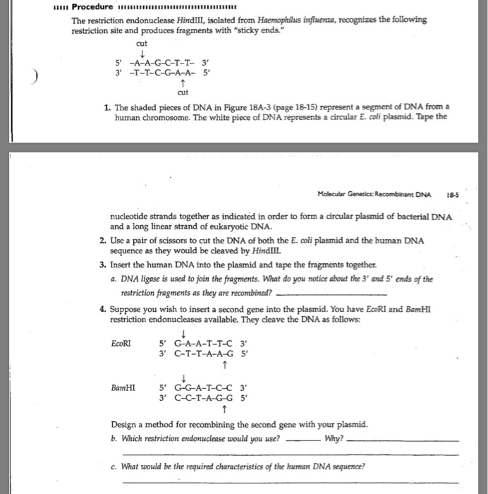 Solved Question 3a, 4b and 4c help please | Chegg.com
