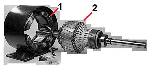 Solved Select the appropriate name for the parts indicated | Chegg.com