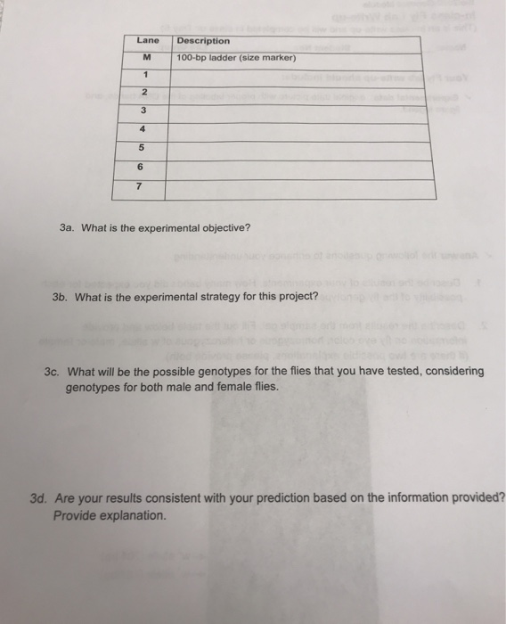 Solved Your Fly lab write-up should include: Experimental | Chegg.com