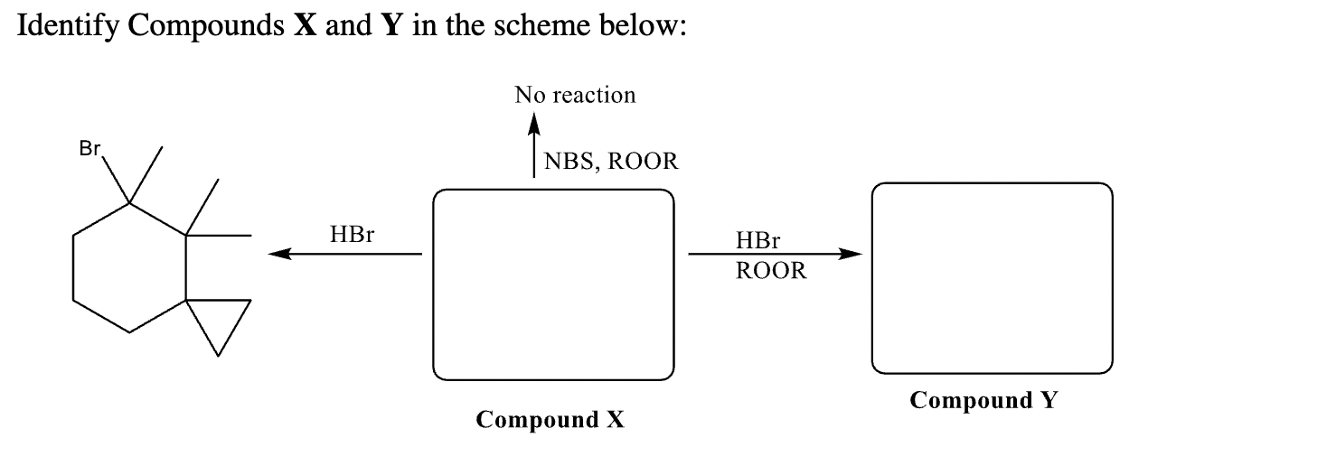 Solved Identify Compounds X and Y in the scheme below: | Chegg.com