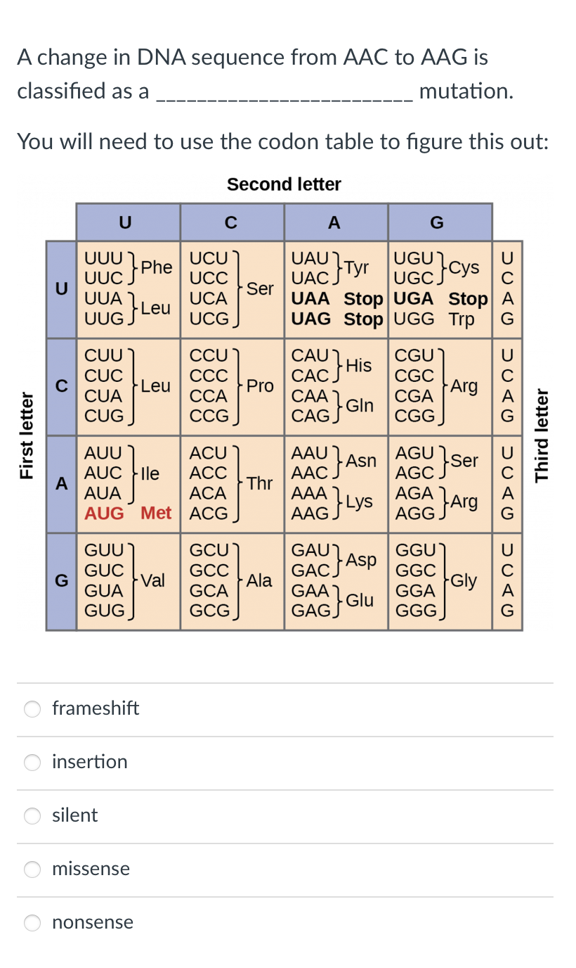 Solved A change in DNA sequence from AAC to AAG is | Chegg.com