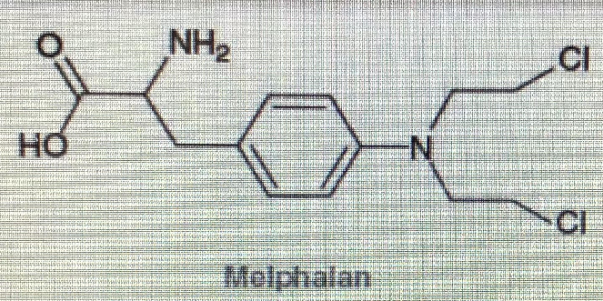 Solved Melphalan is a chemotherapy drug used in the | Chegg.com
