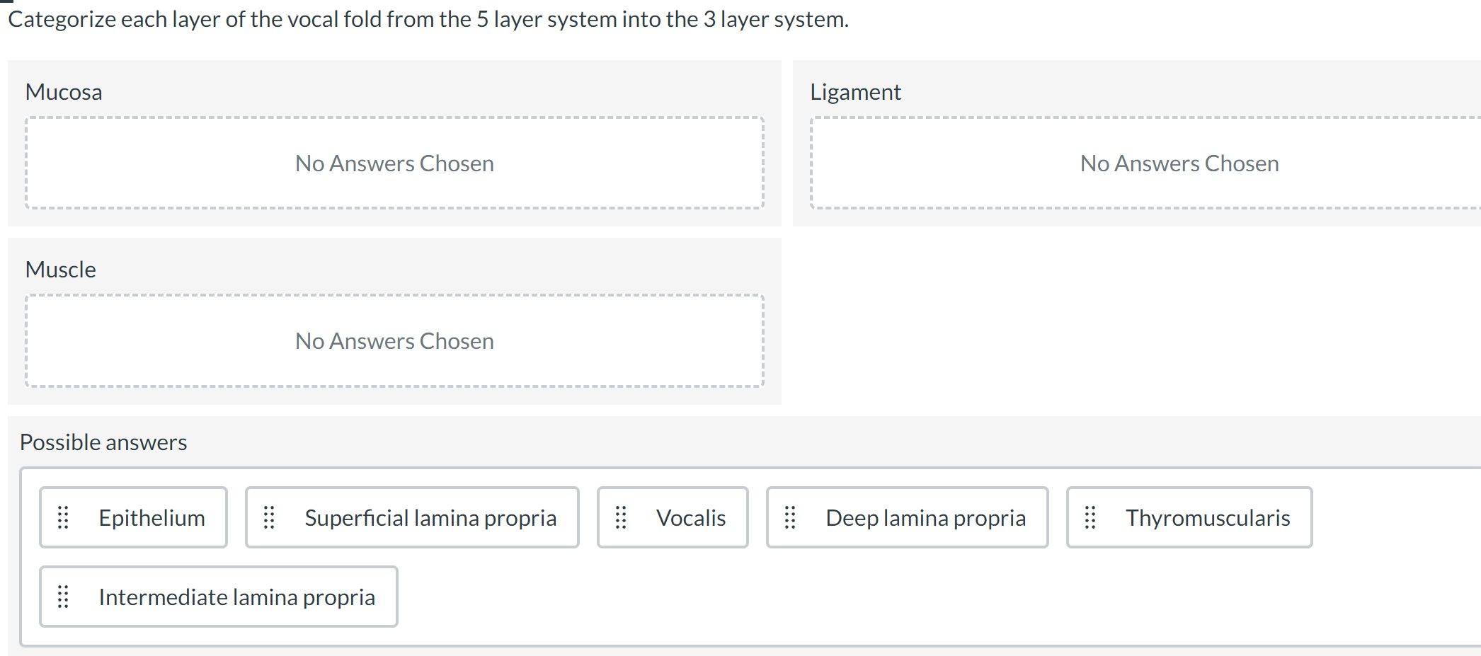 Solved Categorize each layer of the vocal fold from the 5 | Chegg.com