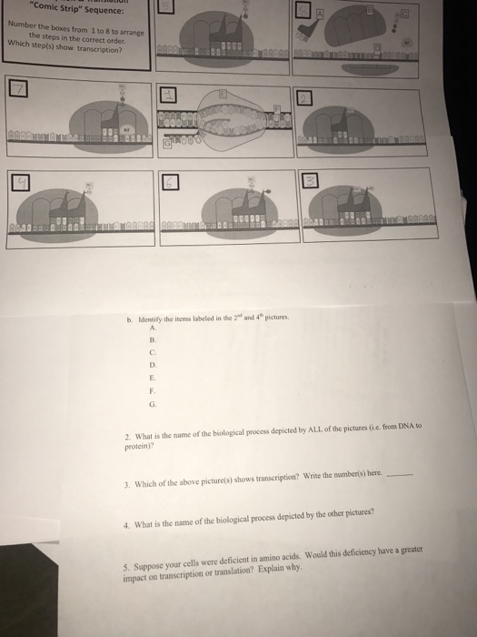 Solved "Comic Strip Sequence: Number the boxes from 1 to 8 | Chegg.com