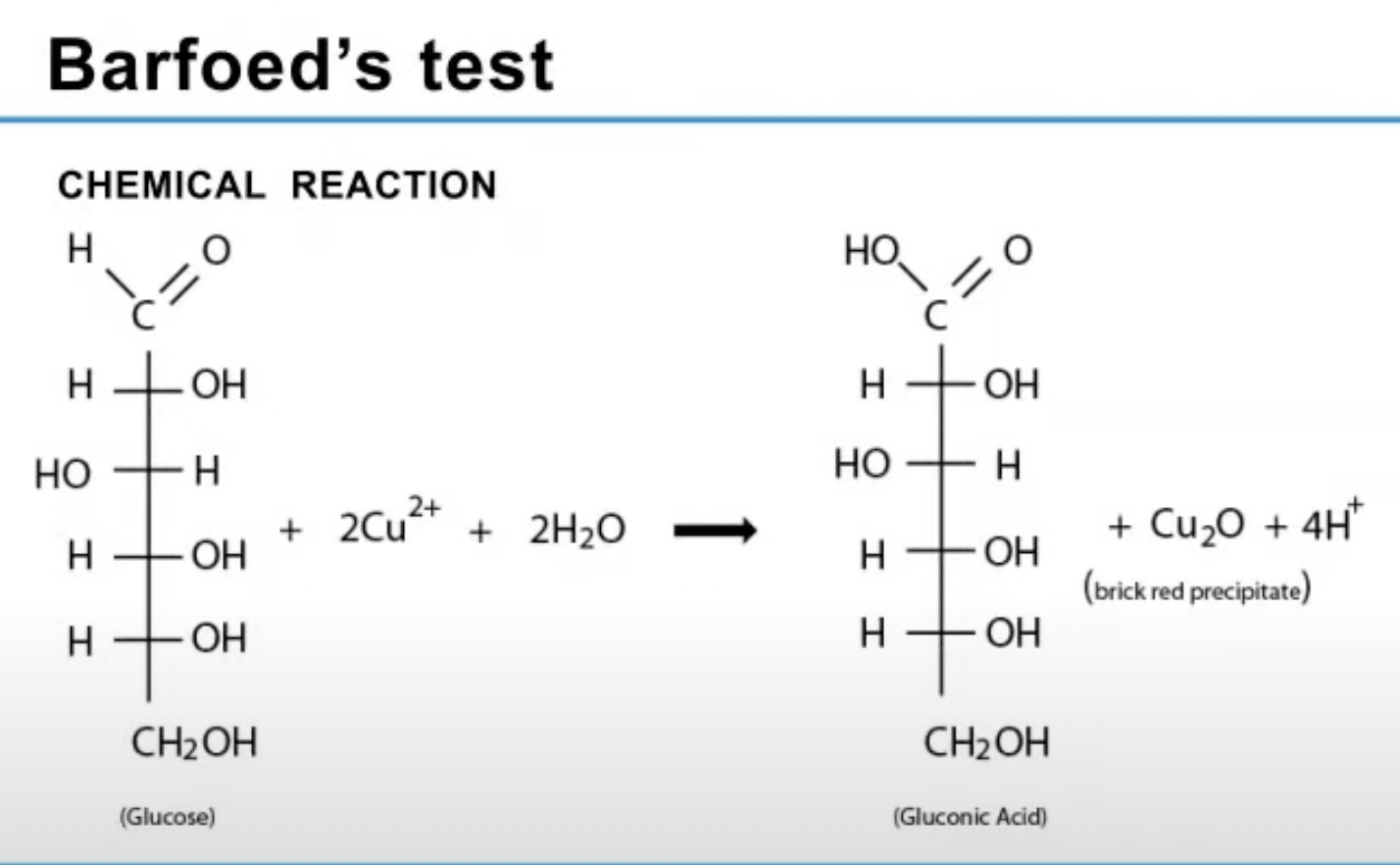 Solved Please explain each step in the reaction mechanisms | Chegg.com