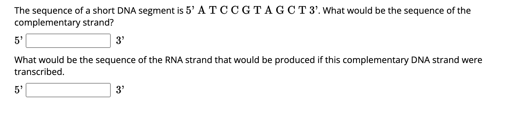Solved The sequence of a short DNA segment is 5' A T C C G T | Chegg.com
