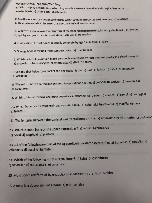 Solved Multiple-choice/True-false/Matching: 1. Cells that | Chegg.com