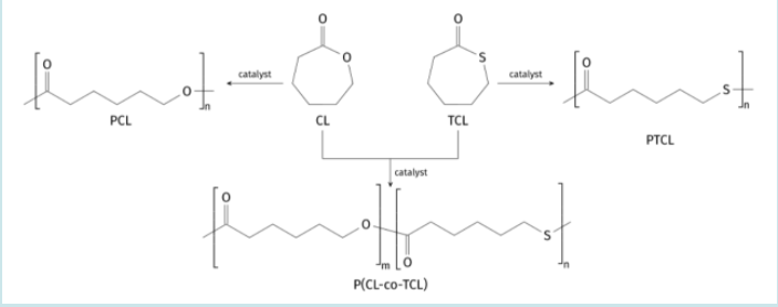 Solved Poly (e-caprolactone) is a valuable polyester which | Chegg.com