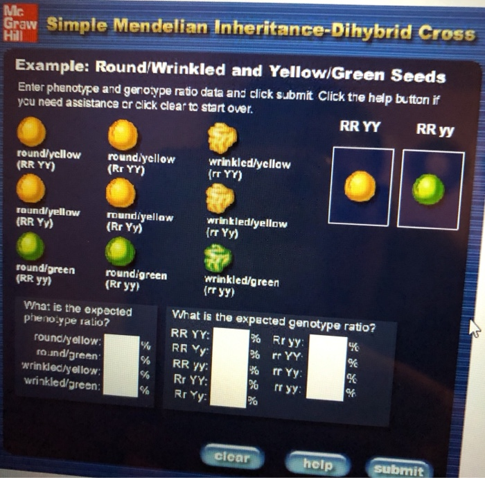 Solved Graw Simple Mendelian Inheritance-Dihybrid Cross Hill | Chegg.com