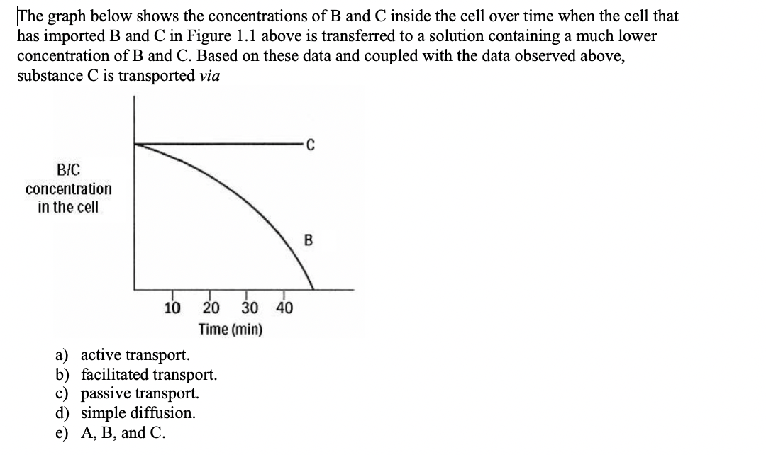 Solved The graph below shows the concentrations of B and C | Chegg.com