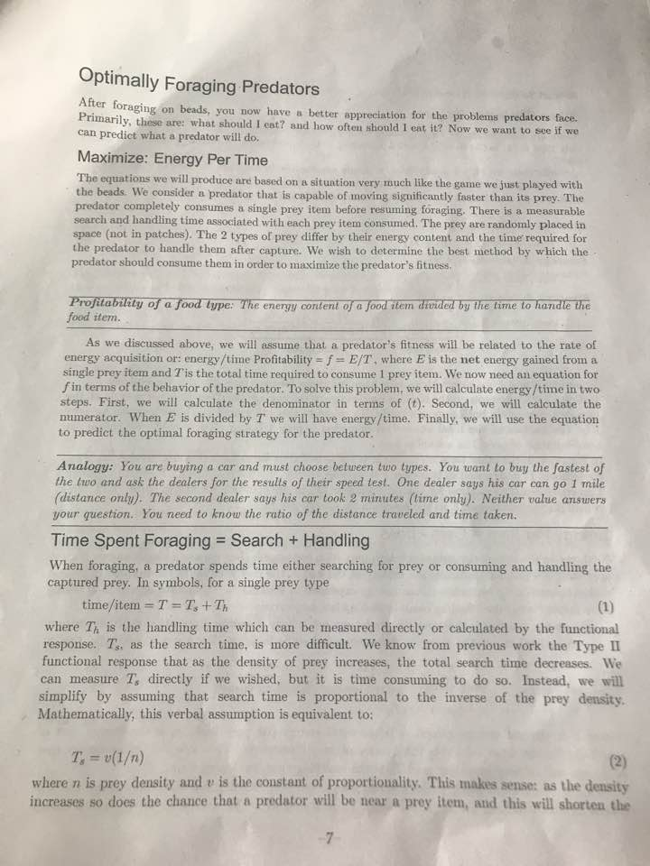 Optimally Foraging Predators After foraging on beads, | Chegg.com