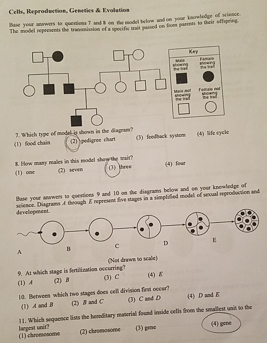 Solved Cells, Reproduction, Genetics & Evolution Base your | Chegg.com