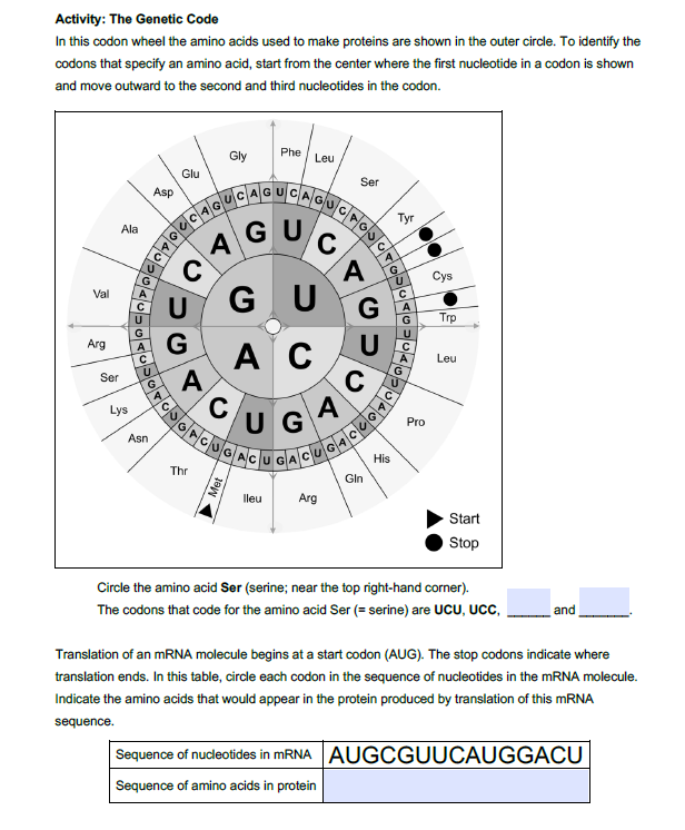 Codon Wheel And Table Discount Retailers | www.oceanproperty.co.th
