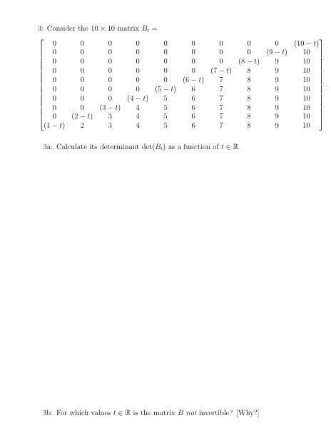Solved :Consider the 10 × 10 matrix B_t = see photo 3a: | Chegg.com