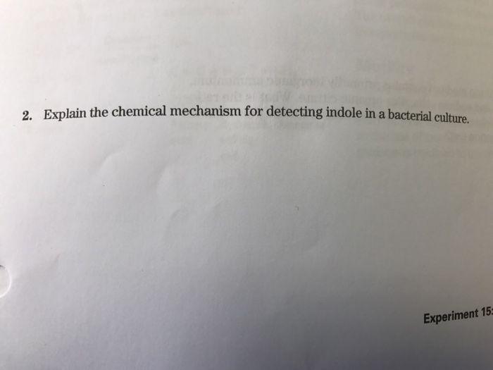 Solved Explain the che mical mechanism for detecting indole | Chegg.com