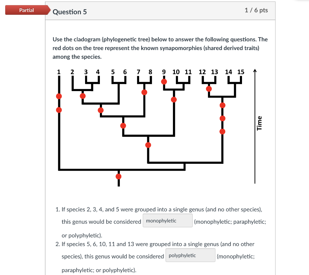 Solved Use the cladogram (phylogenetic tree) below to answer | Chegg.com
