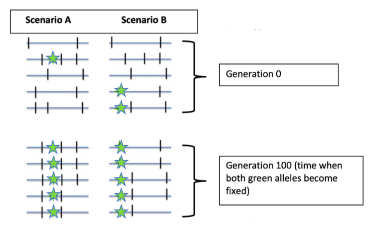 Solved Below is a figure showing patterns of variation in a | Chegg.com
