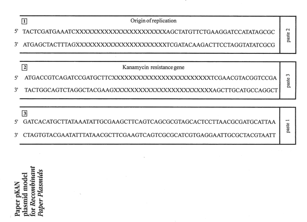 Student Activity Recombinant Paper Plasmids 14 | Chegg.com