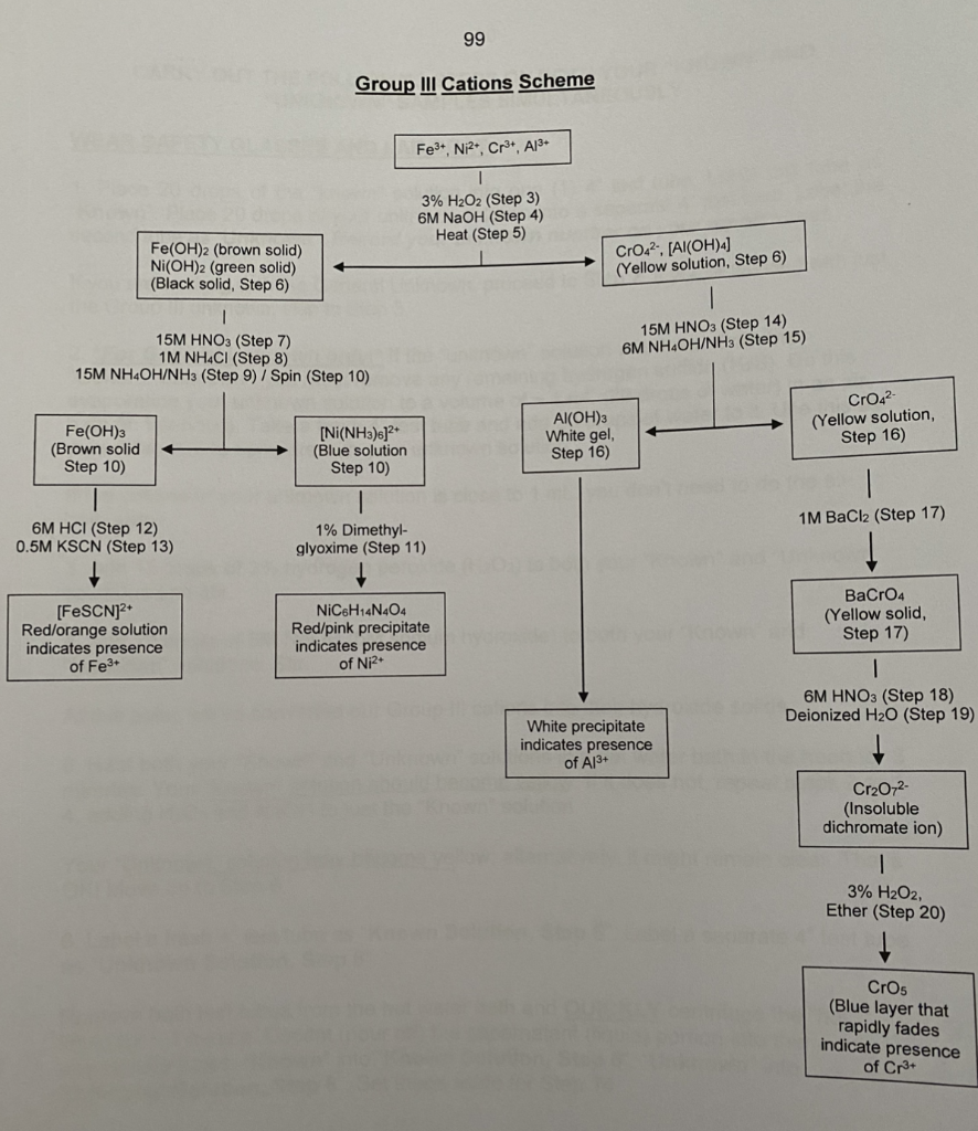 Solved 99 Group III Cations Scheme Fe3+, Ni2+, Cr3+, Al3+ 3% | Chegg.com