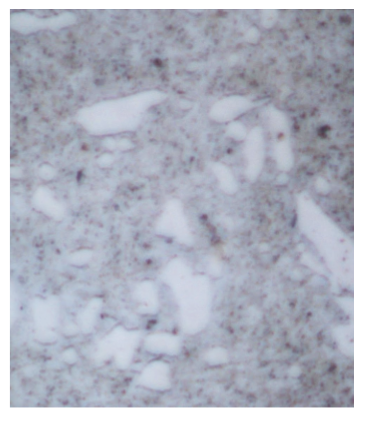 Solved The microstructure shown below is a quenched D2; Use | Chegg.com