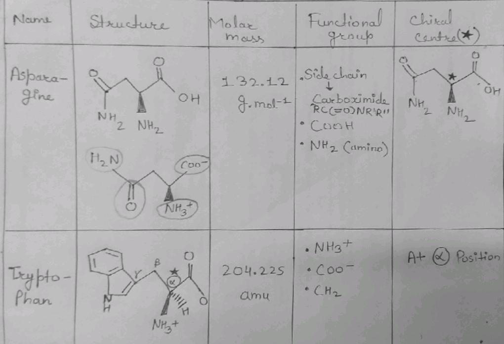 Building the tripeptide: 9. Assemble a single | Chegg.com