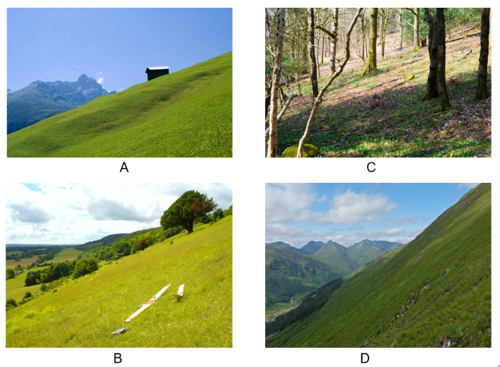 Solved Which of the following hillsides are most susceptible | Chegg.com