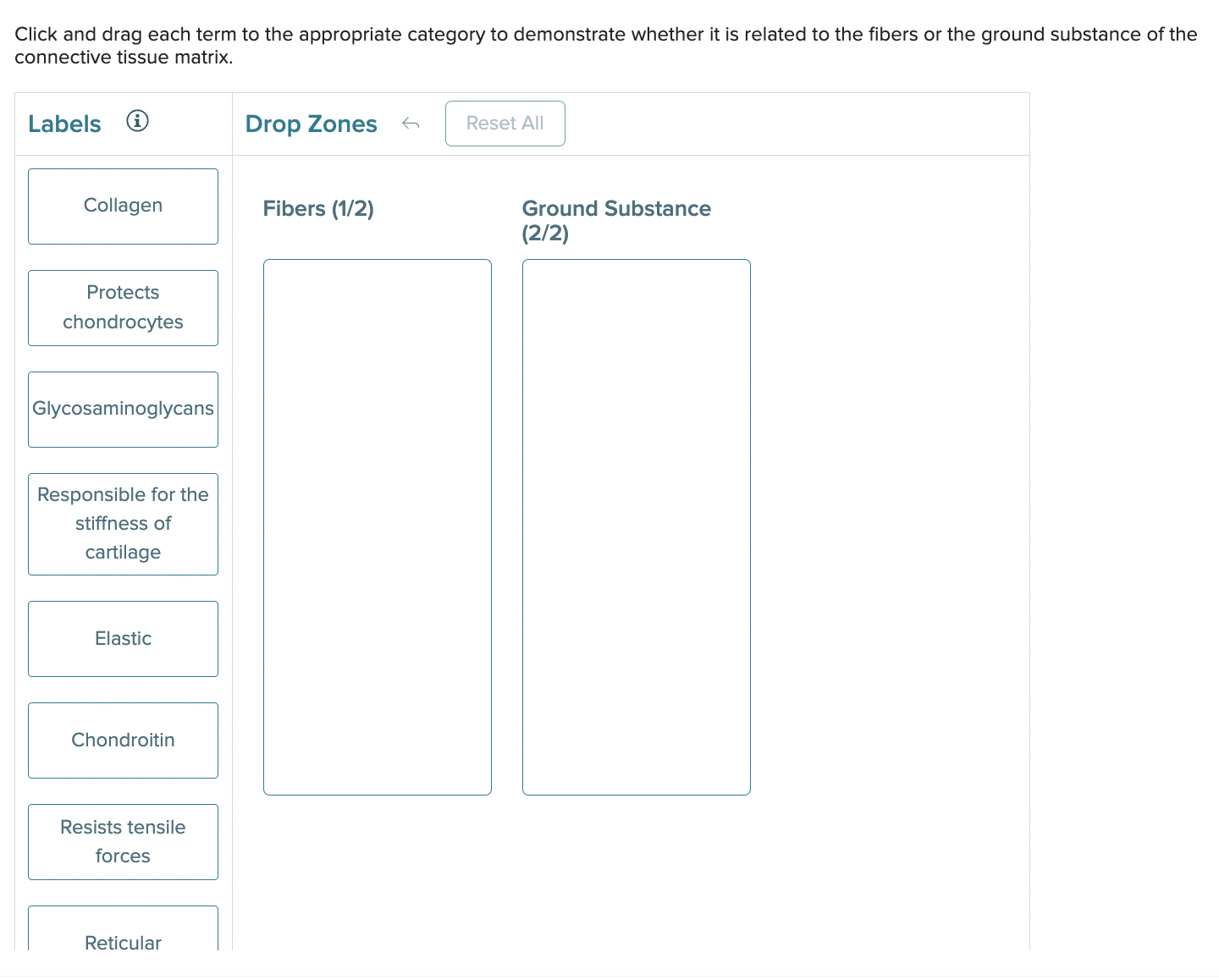 Solved Click and drag each term to the appropriate category | Chegg.com