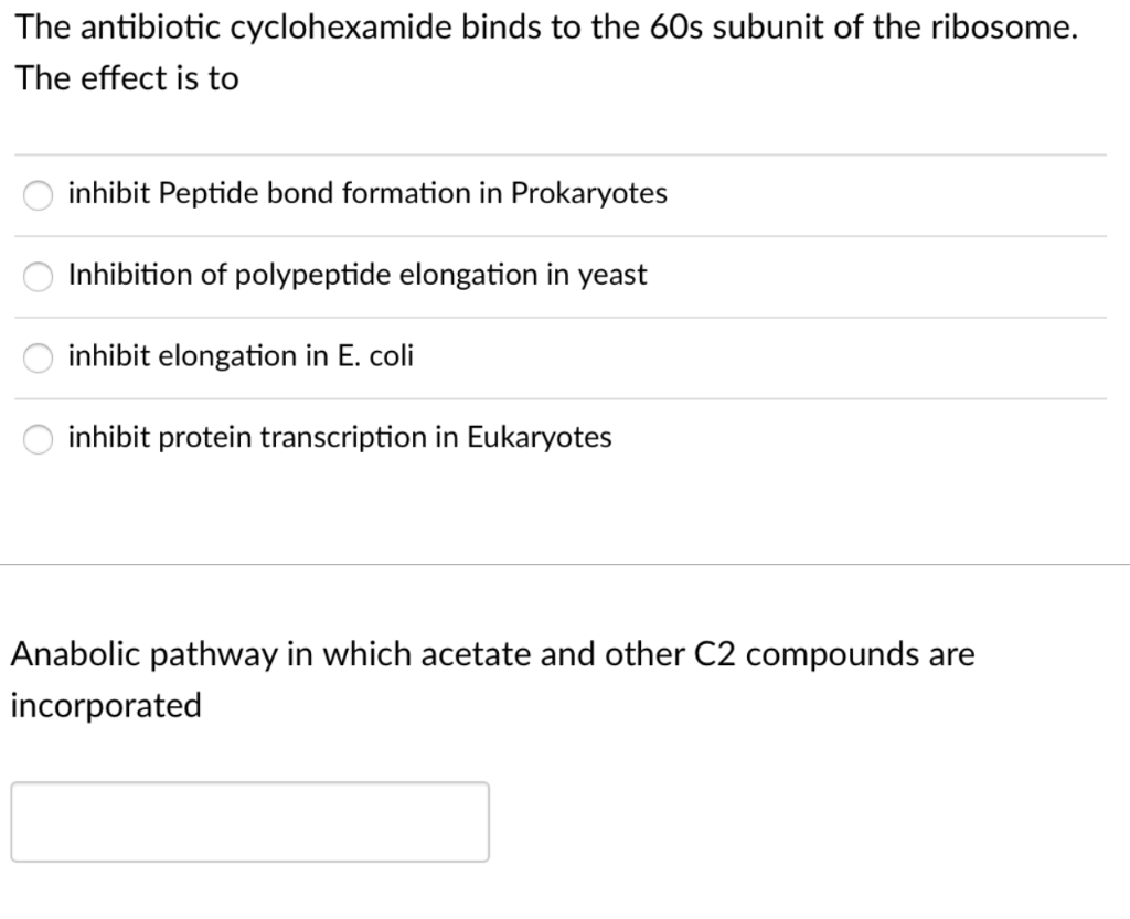 Solved The antibiotic cyclohexamide binds to the 60s subunit | Chegg.com
