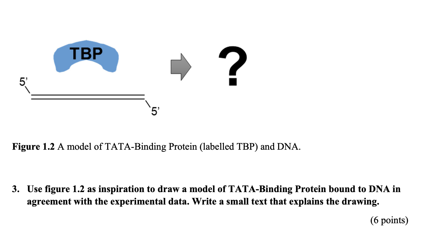 TBP ? 5' 5 Figure 1.2 A model of TATA-Binding Protein | Chegg.com