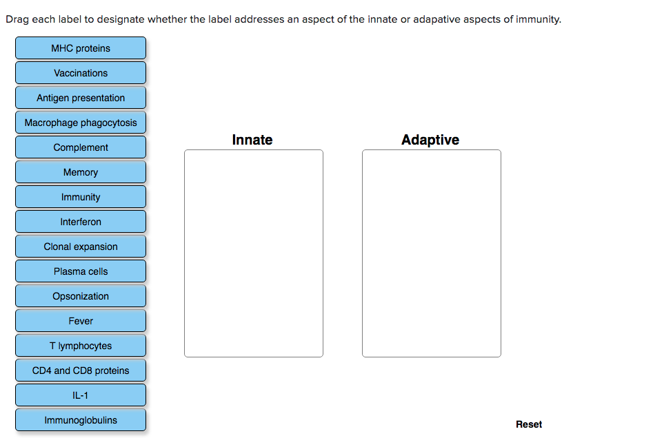 Indicate Whether the Label Identifies an Adaptive or Innate Immunity