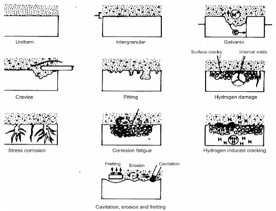 Solved Uniform Intergranular Galvanic Surface cracks | Chegg.com