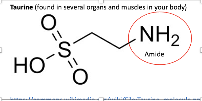 Solved Looking at the line angle structure for taurine, how | Chegg.com