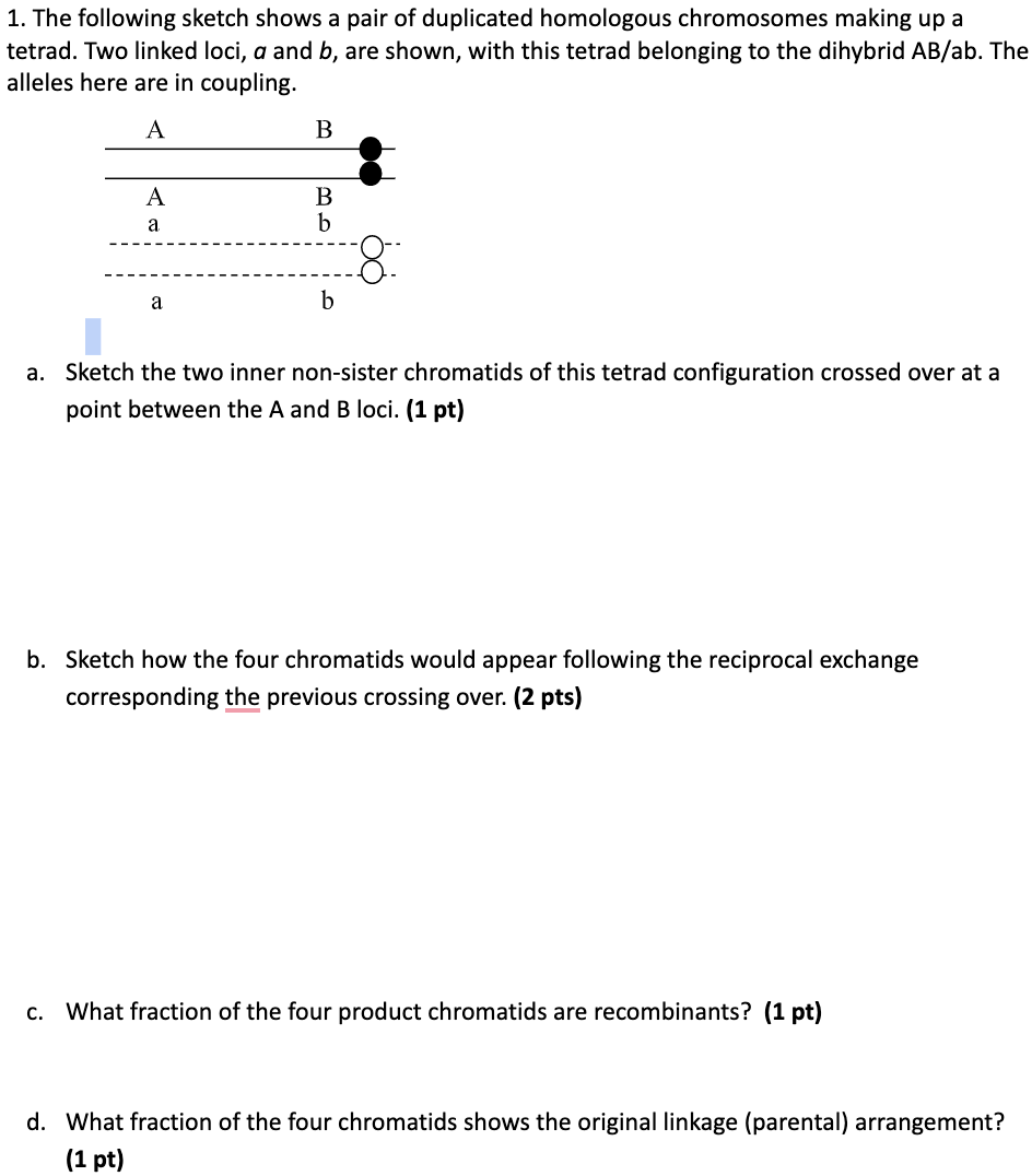 Solved 1. The following sketch shows a pair of duplicated | Chegg.com