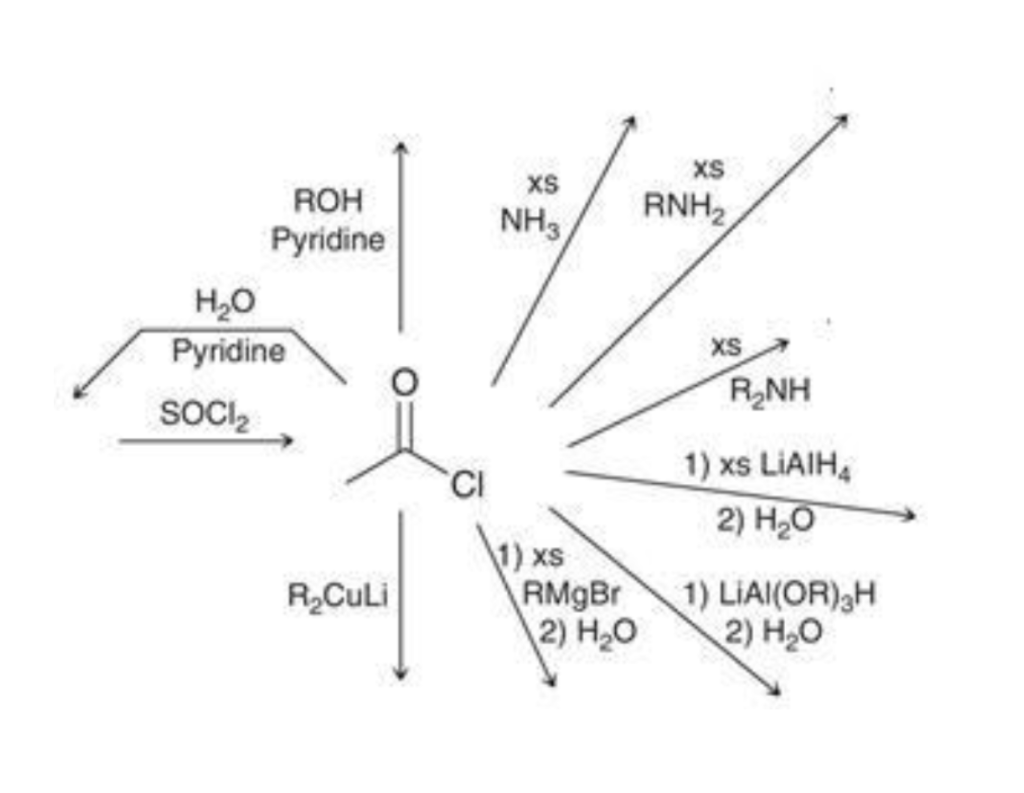 Solved XS XS RNH2 NH ROH Pyridine HO Pyridine SOCI, XS RANH | Chegg.com