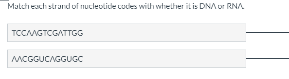 Solved Match each strand of nucleotide codes with whether it | Chegg.com