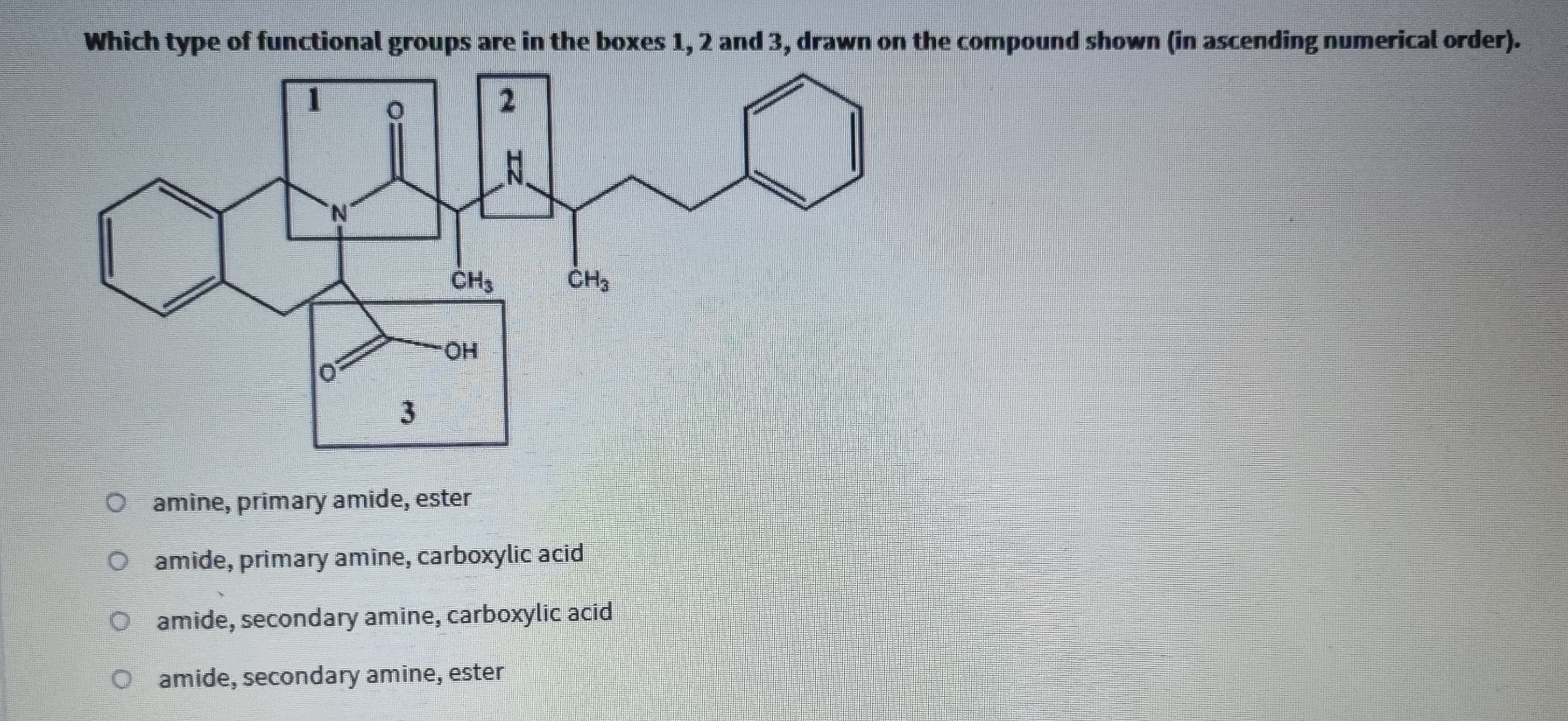 Solved Amine Primary Amide Ester Amide Primary Amine