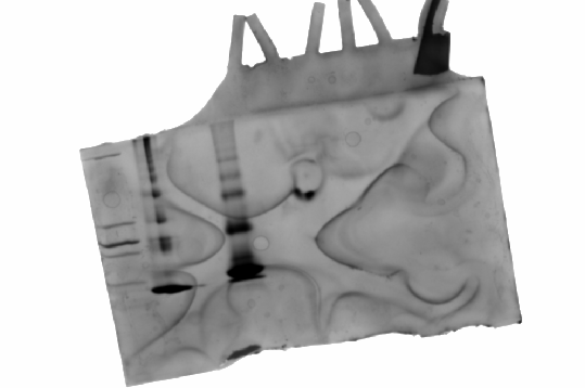 Please help me construct a Ferguson Plot based on the | Chegg.com