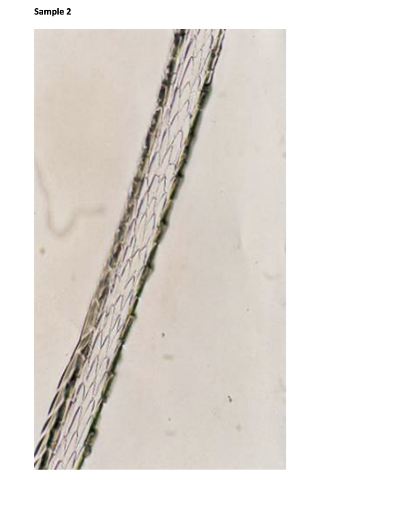 Solved \begin{tabular}{|l|l|} \hline & SAMPLE 2 ID: \\ | Chegg.com