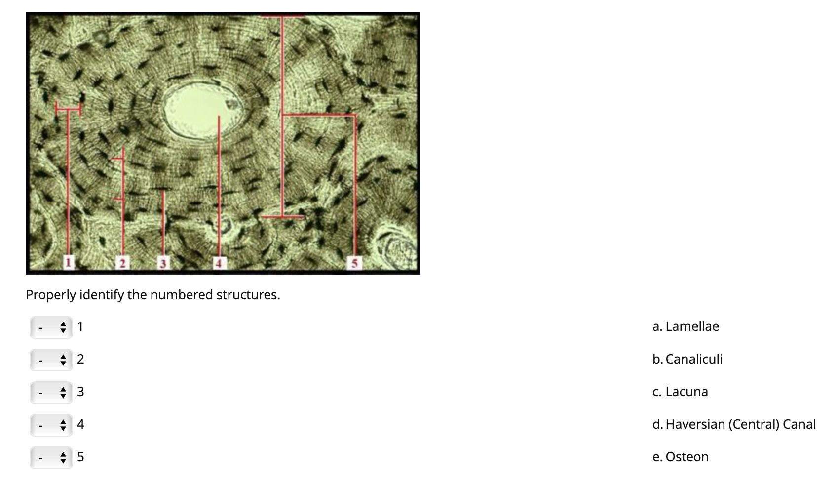 Solved 2 3 Properly identify the numbered structures. a. | Chegg.com